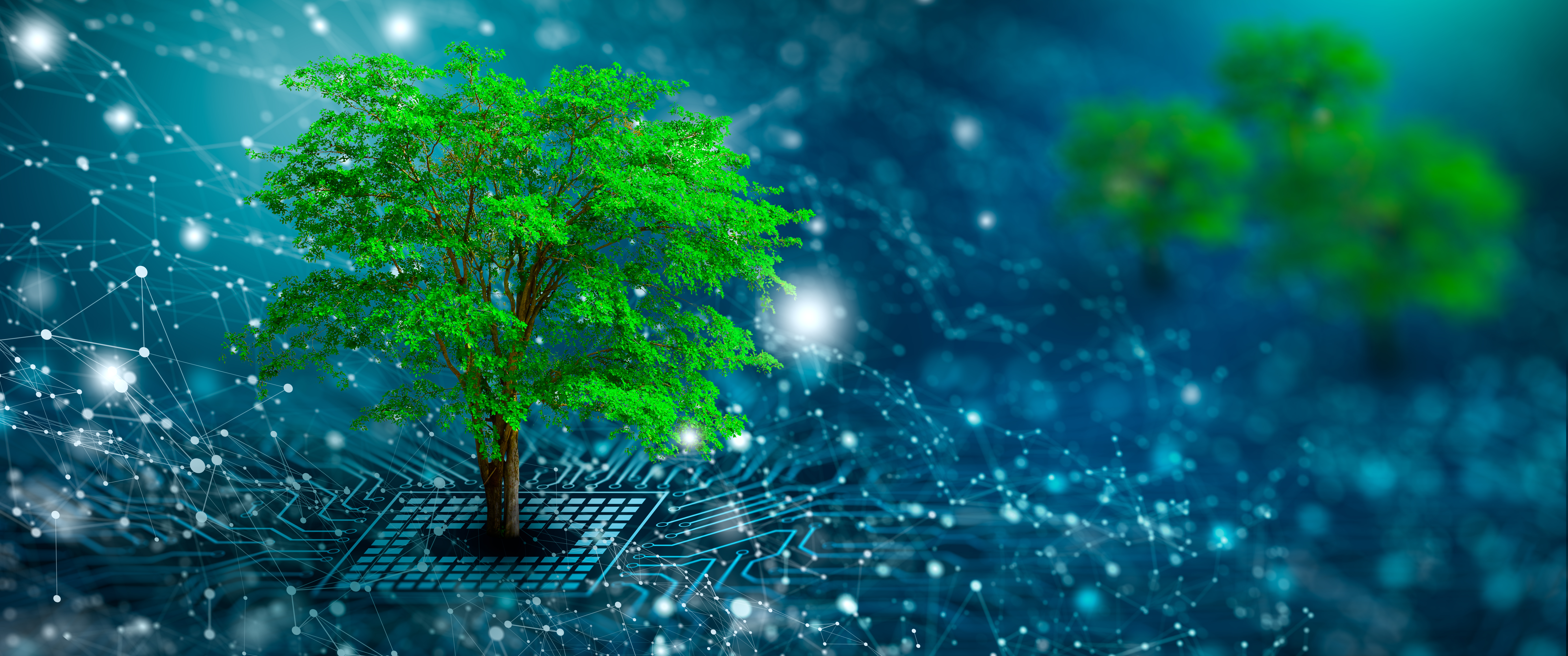 Addressing Sustainability Challenges With Modern Embedded Software